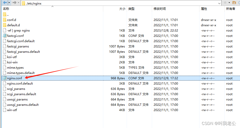 Linux部署2个若依VUE_linux系统部署多个vue项目-CSDN博客