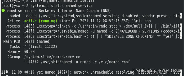 linux centos 8 DNS服务器配置_centos8 dns-CSDN博客