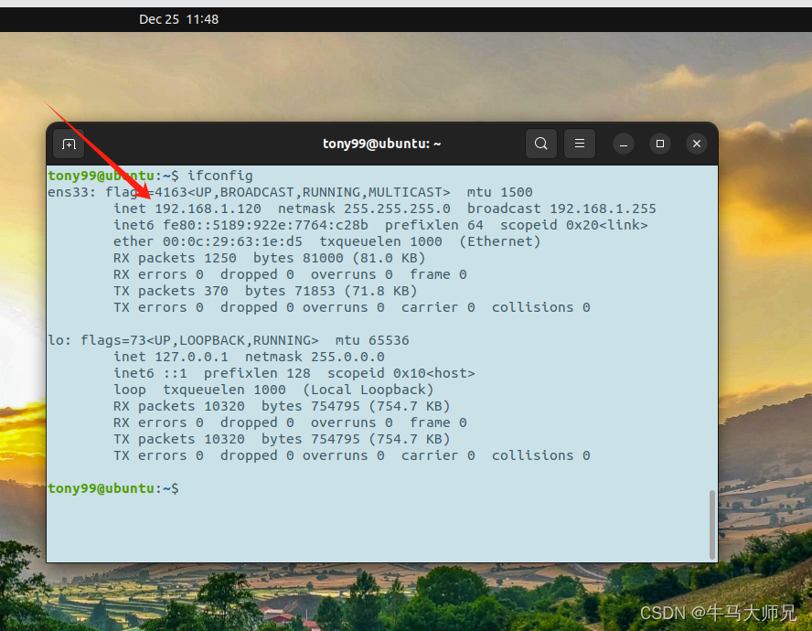 嵌入式Linux开发板Ping通VMware虚拟机及Windows主机_开发板怎么ping虚拟机-CSDN博客