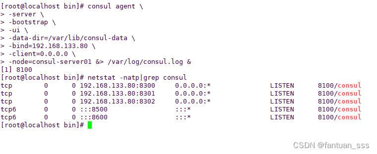 Docker-consul_consul-template-CSDN博客