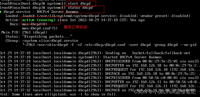 Linux搭建DHCP服务器_linux安装dhcp-CSDN博客
