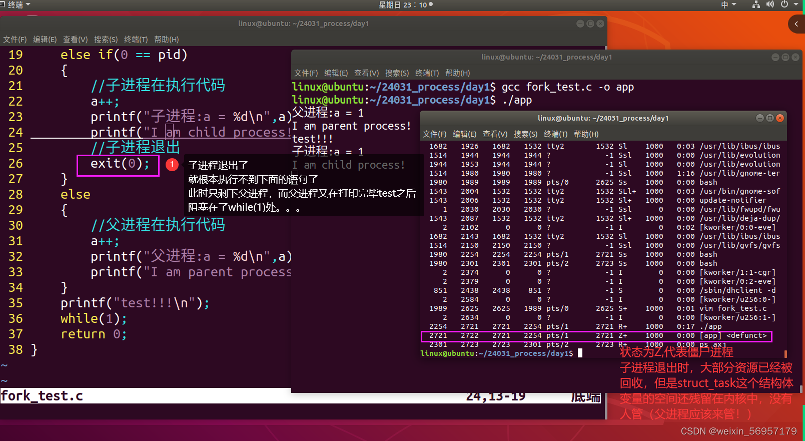 fork的具体使用_csdn fork-CSDN博客
