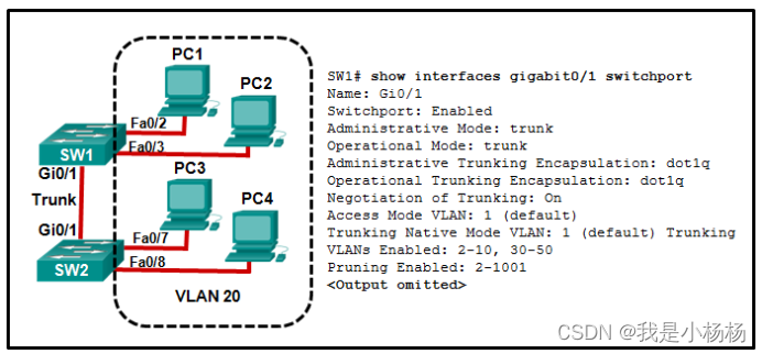 CCNA2 v7 Modules 1 – 4 Switching Concepts, VLANs, and InterVLAN Routing ...