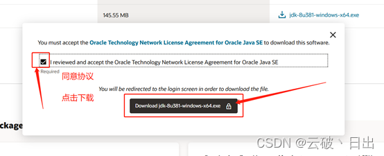 最新[新手入门教程] JDK8u381的下载安装以及环境变量的配置-CSDN博客