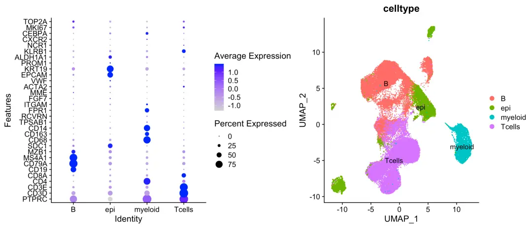 10X单细胞（10X空间转录组）整合分析批次处理之细节（harmony）_单细胞harmony-CSDN博客