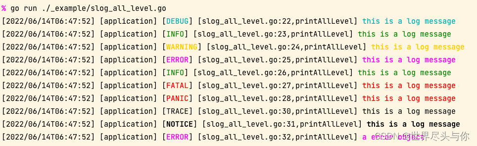 Go语言日志美化库，slog使用指南_go slog-CSDN博客