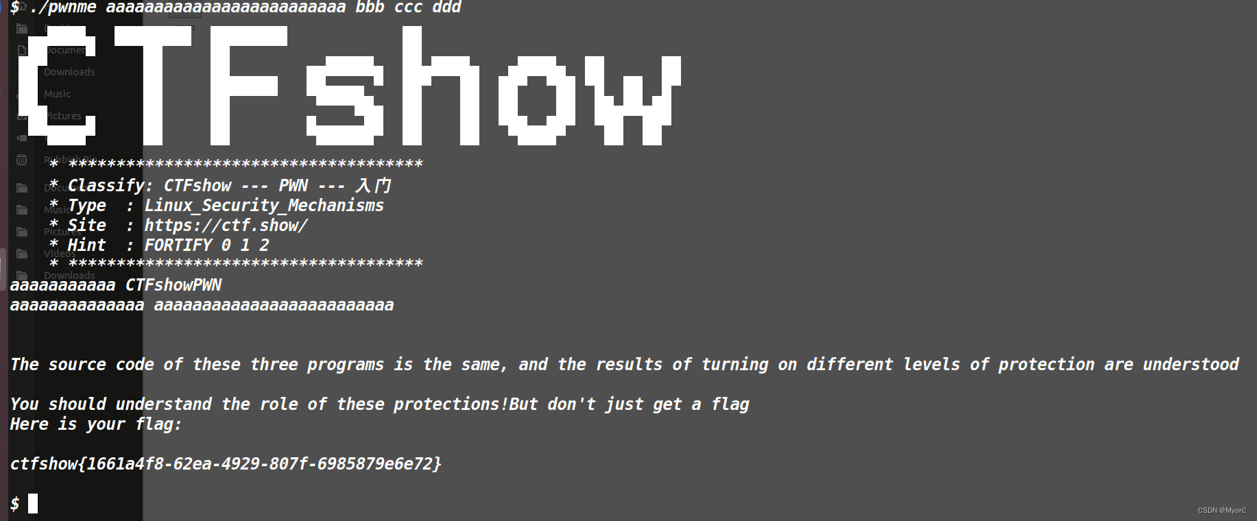 CTFshow-PWN-前置基础（pwn32-pwn34）_ctfshow pwn32-CSDN博客