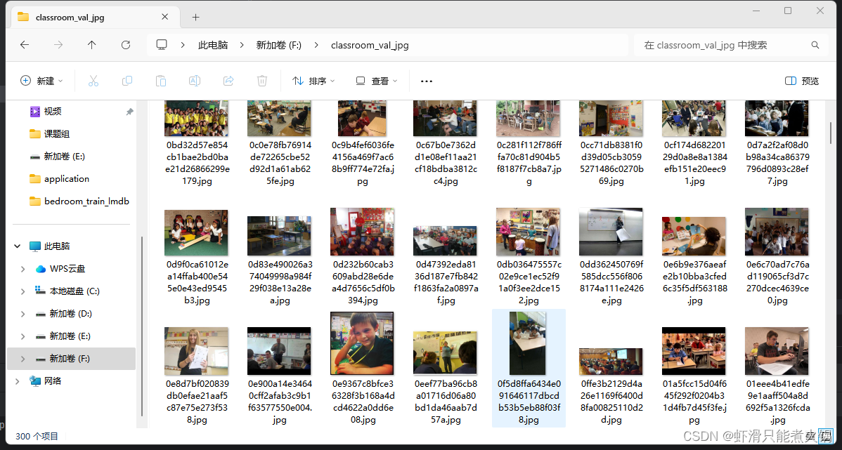 【论文复现记录】Image Disentanglement Autoencoder for Steganography without Embedding（IDEAS）-CVPR-2022 ...