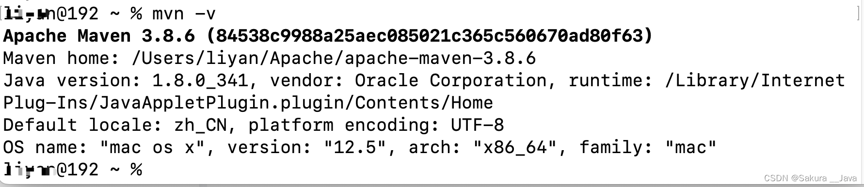 Mac m1 和 m2 安装配置Maven_macbook m2 安转maven-CSDN博客