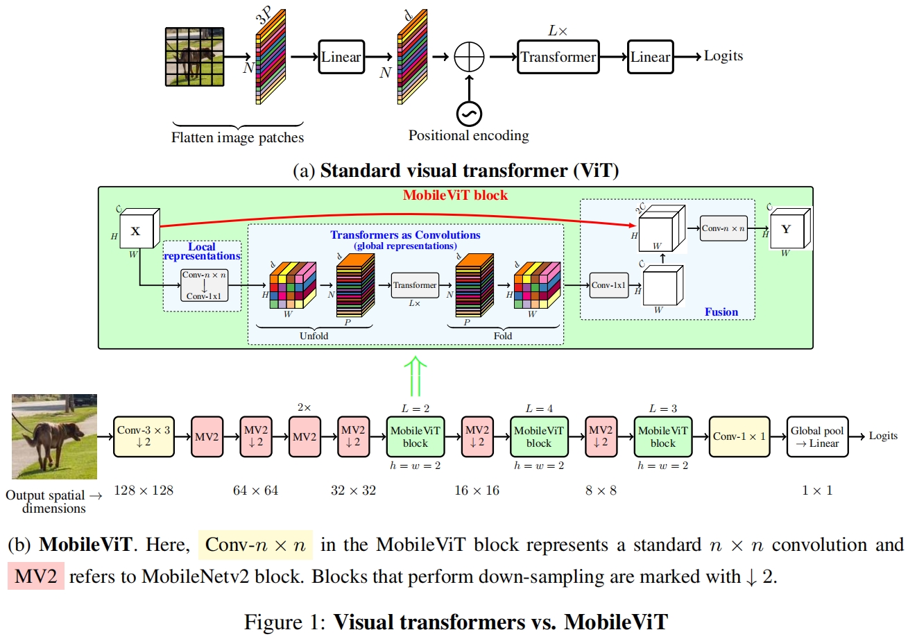 MobileViT（ICLR 2022，Apple）论文与代码解析_mobilevit论文-CSDN博客