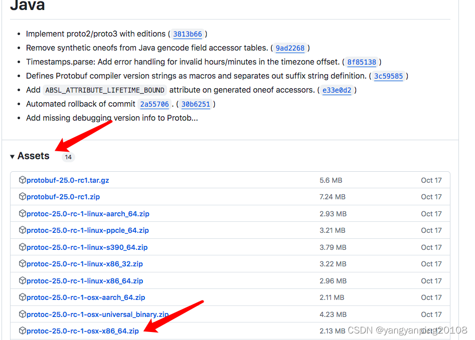 JAVA序列化--Protobuf_protubuf协议java编译器-CSDN博客