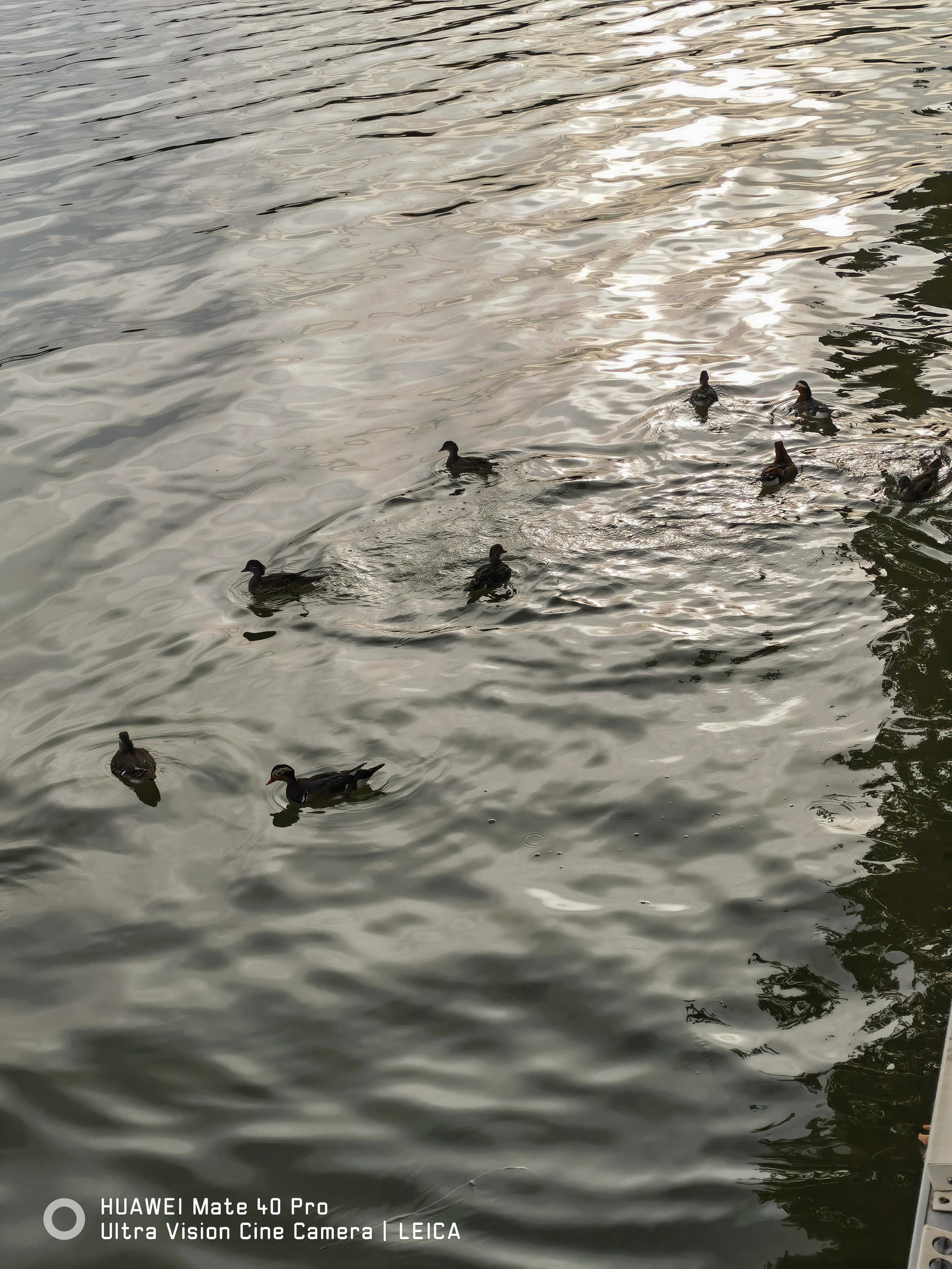 解析python中获取当前线程名字的方法及多线程编程实践python 打印线程的名字 Csdn博客