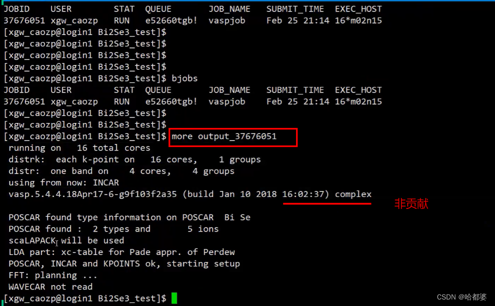 HPC环境中Vasp计算遇到的错误与解决-CSDN博客