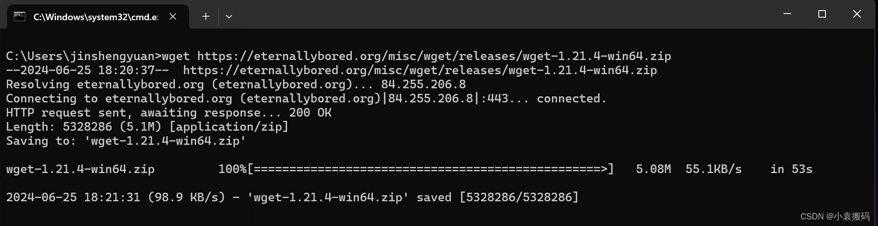 wget之Win11中安装及使用-CSDN博客