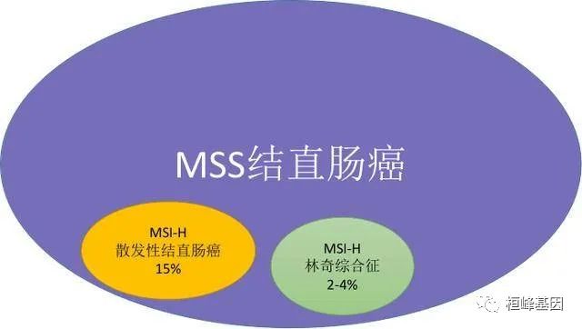 DNA 14. SCI 文章肿瘤微卫星不稳定性计算方法（MSI）-CSDN博客