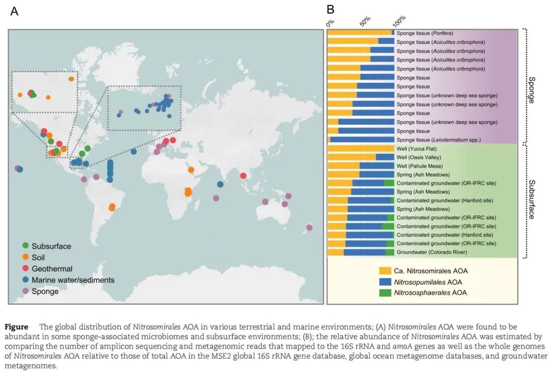 ISME | 蒋建东/秦玮/郑越/王保战等发现AOA新类群-CSDN博客