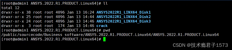 Ansys-2022R1如何在Linux&HPC并行计算集群安装并使用？_ansys hpc-CSDN博客