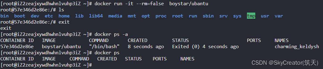 【Docker学习】docker run 选项之临时容器的不二之选--rm_docker run --rm-CSDN博客