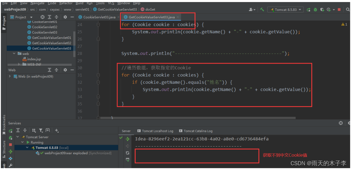 一篇文章搞懂Cookie_cookie怎么转换为ascll码-CSDN博客
