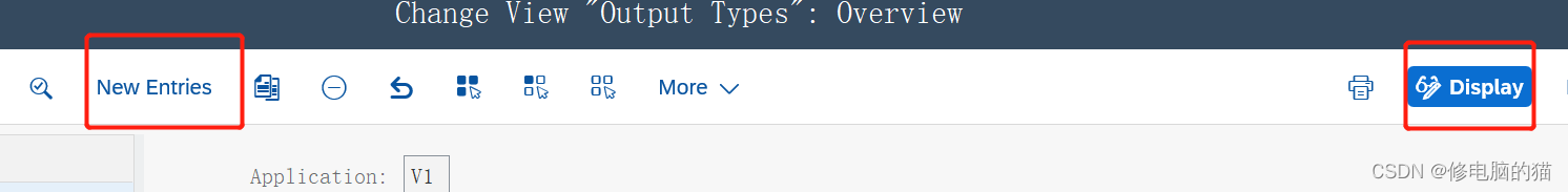 NACE(Create a New sap output message Type) -SAP_sap nace-CSDN博客