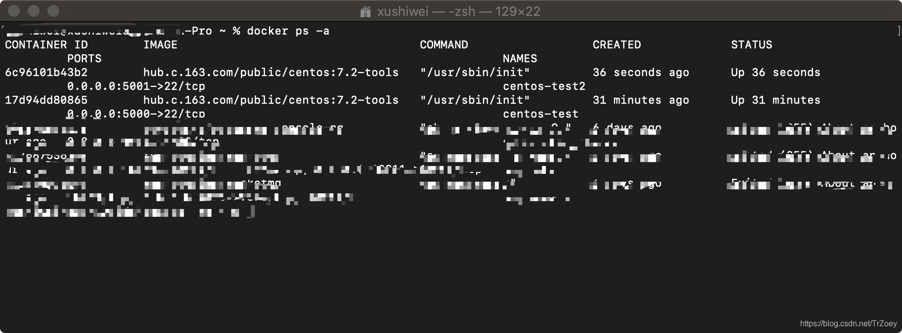 使用Docker替代 vmware搭建虚拟机_docker_TrZoey-魔乐社区