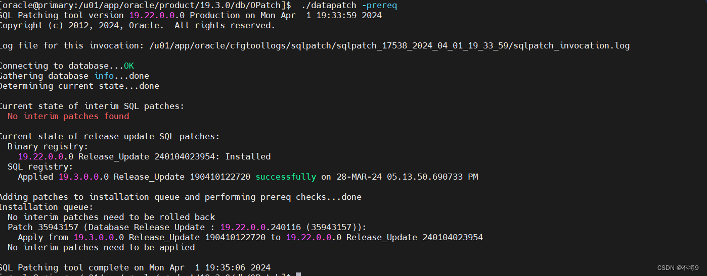 oarcle 19c ADG补丁升级(19.3-19.22)_oracle19.3补丁-CSDN博客