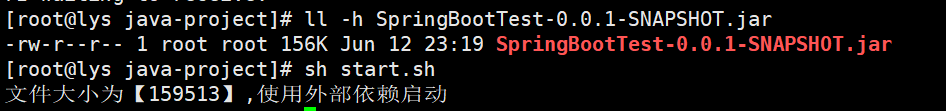 1秒将本地SpringBoot项目jar包部署到Linux环境（看这一篇就够了）_如何部署jar包到linux服务器-CSDN博客