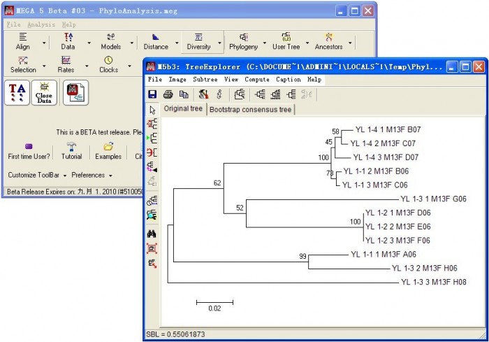linux下phylip软件构建NJ树,MEGA软件——系统发育树构建方法（图文讲解）-CSDN博客