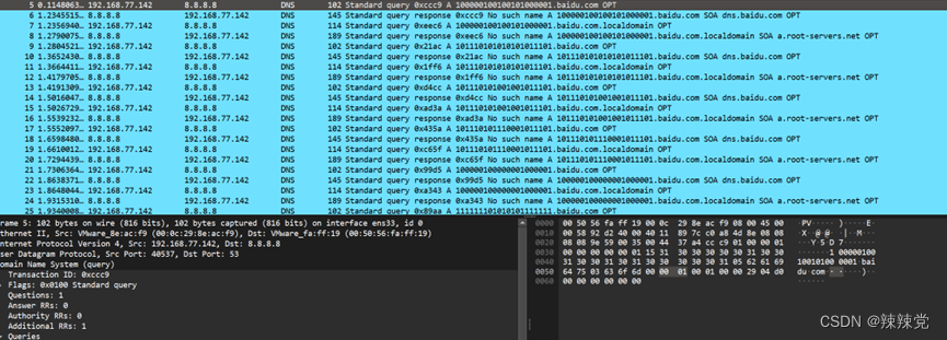 CISCN2024 Day1 其中一题DNS_ctf dns题目 一串奇怪的字符-CSDN博客