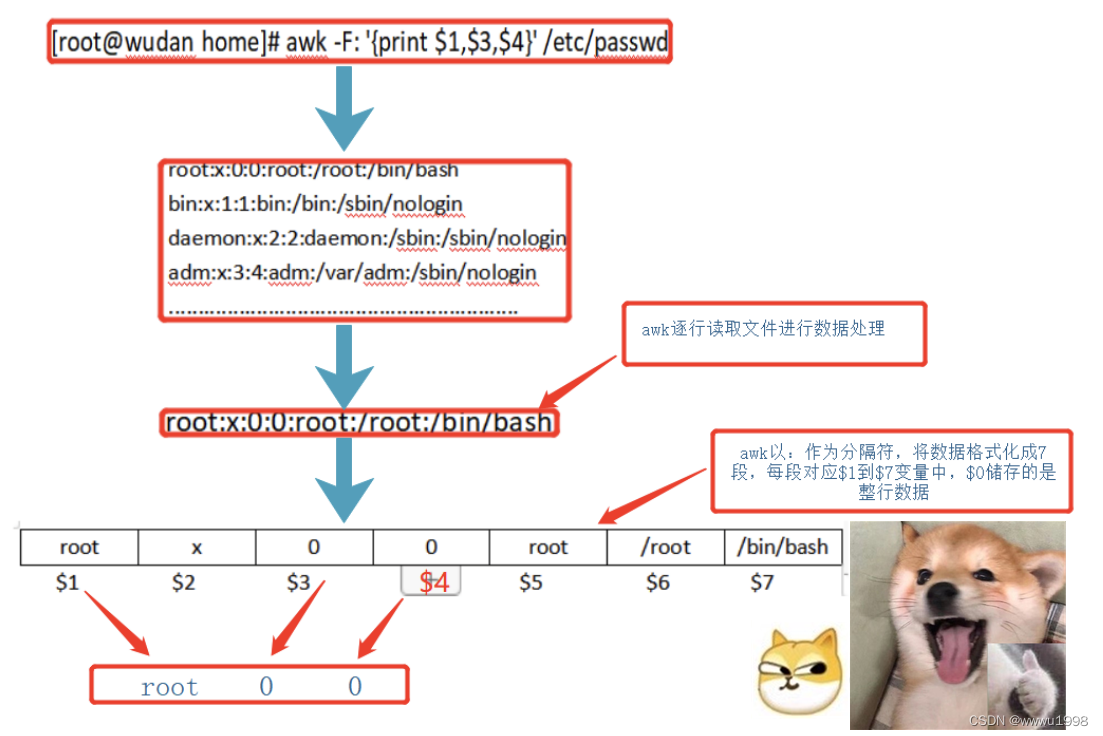 Shell脚本三剑客之awk、sed、grep_awk install-CSDN博客