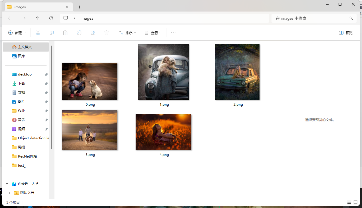 使用Make Sense为YOLOv5-5.0制作自定义数据集及应用_makesense标注工具-CSDN博客