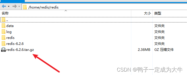 Centos7.x离线安装redis_redis rpm包下载-CSDN博客
