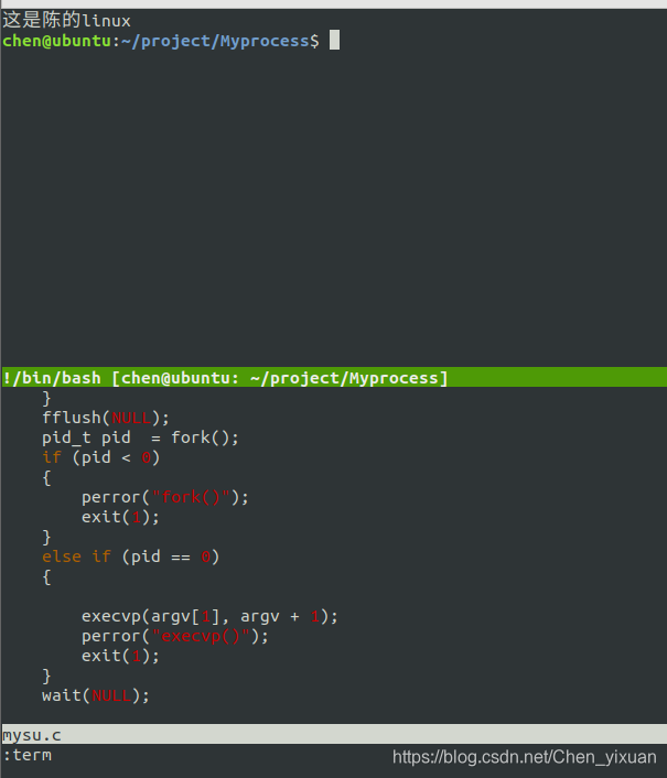 从进程的角度看：Ctrl+w切换term与vim失灵_ctrl w在gvim中无用-CSDN博客