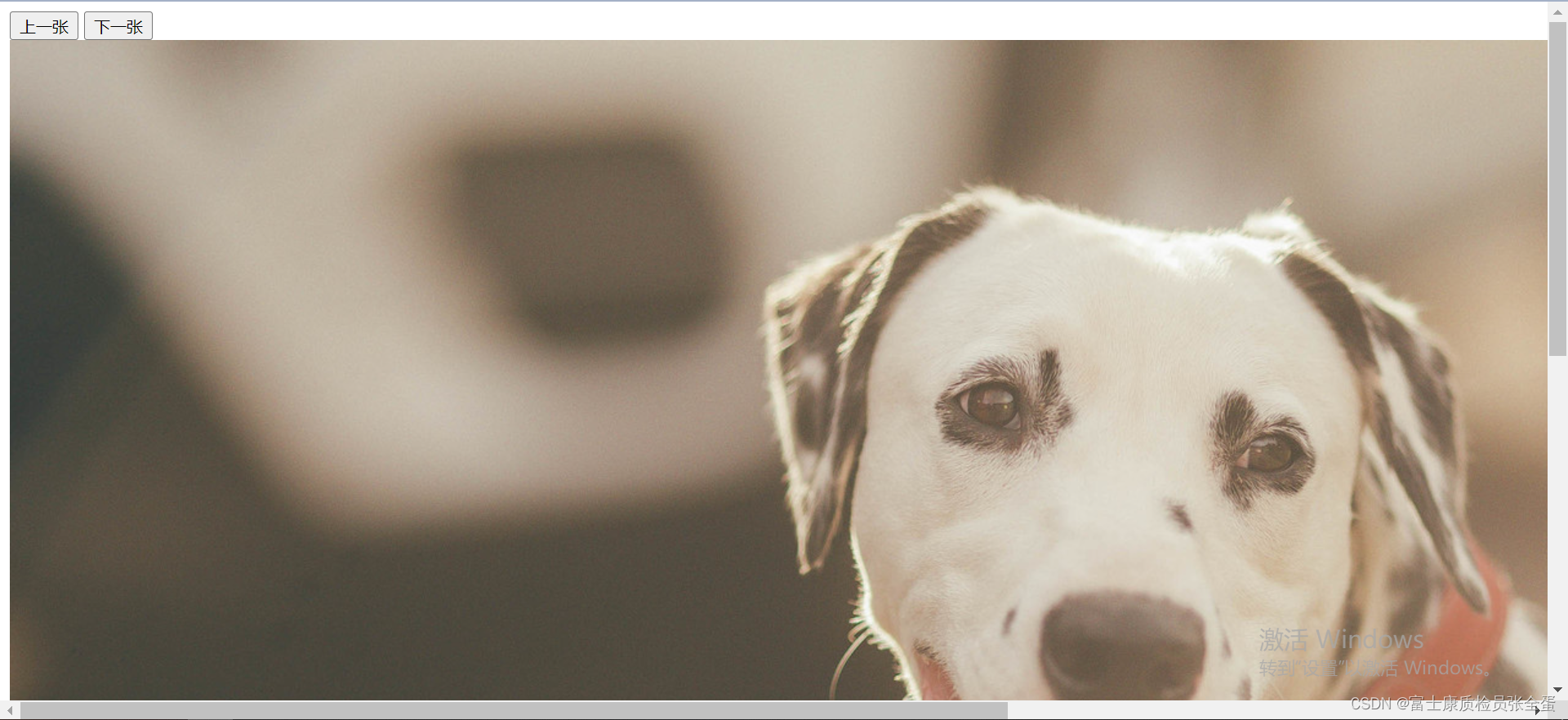 Vue 本地应用 图片切换 v-show v-bind实践_vue点击切换下一张图片-CSDN博客