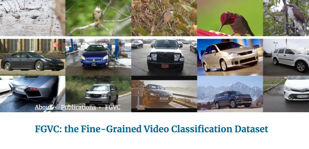 CVPR 2019细粒度图像分类竞赛中国团队DeepBlueAI获冠军 | 技术干货分享-CSDN博客