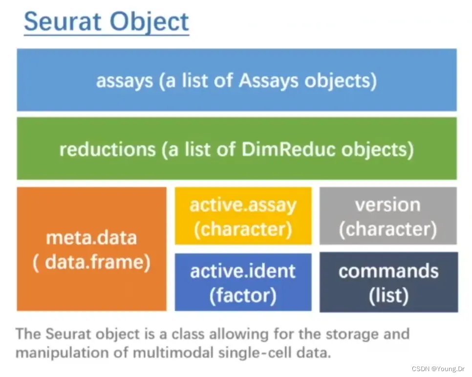 空转旋转 seurat spatial rotate 图片 翻转 数据结构 对象 seurat的空转数据存储_seurat对象assays添加元素-CSDN博客