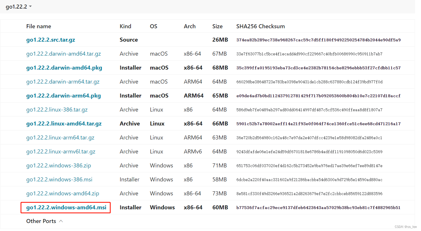 Golang教程一（环境搭建，变量，数据类型，数组切片map）_go1.22.2.linux-amd64.tar.gz-CSDN博客