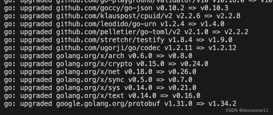 Mac vscode could not import github.com/gin-gonic/gin_couldnt import gin-CSDN博客