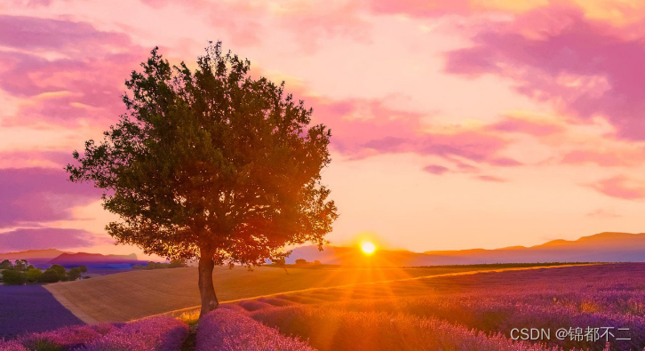 一款专门为自动化测试打造的集成开发工具【Aqua】，“能快速构建自动化测试项目”，就问你爽不爽吧，，，_idea aqua-CSDN博客