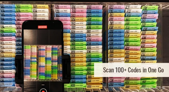 Dynamsoft Barcode Reader SDK 9.6.4.1 .NET-update_dynamsoft barcode c#-CSDN博客