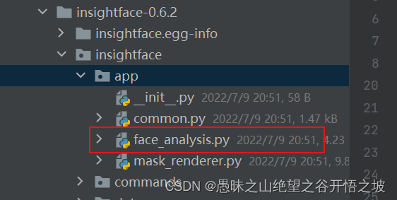 人脸识别5.3- insightface人脸3d关键点检测源码更改，根据姿态角修正图片角度，调整向量解析值，增大识别准确度，以及返回俯仰角 ...