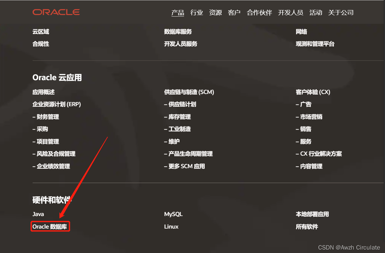 Oracle19c 安装 DataGrip 连接 Vistual Studio 2022 测试 常见问题_datagrip 连接oracle-CSDN博客