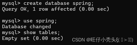 Spring JdbcTemplate的常用方法--execute()_jdbctemplate.execute-CSDN博客