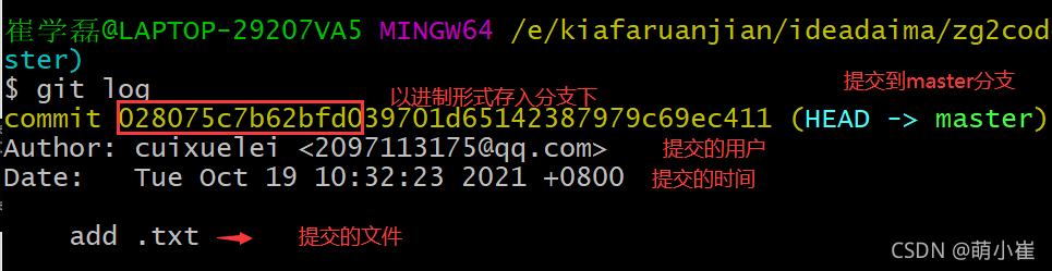 Git使用＜暂存区+分支(branch)+远程仓库(remote)+克隆(clone)+Tag标签.....等＞超详细总结_git branch remote list-CSDN博客
