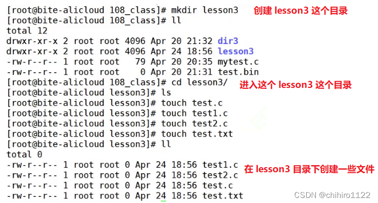 Linux 基础语法 -2 (通配符 * - man - cp - echo - mv - alias - cat - more - less - head - tail )_linux mv ...