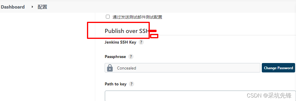 jenkins配置ssh服务器&配置ssh servers_jenkins ssh配置-CSDN博客