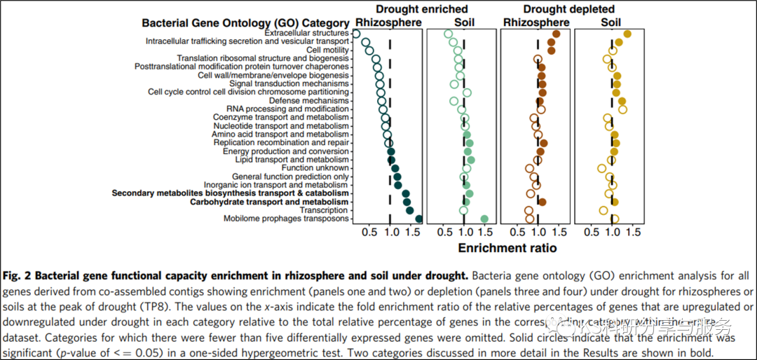 复现《Nature communications》图表：ggplot展示多组基因富集结果+显著性区分_ggplot2画多个基因图-CSDN博客