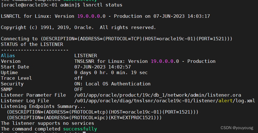 达梦数据库dblink测试(DM-ORACLE19c及DM8-DM8)_dm创建dblink-CSDN博客
