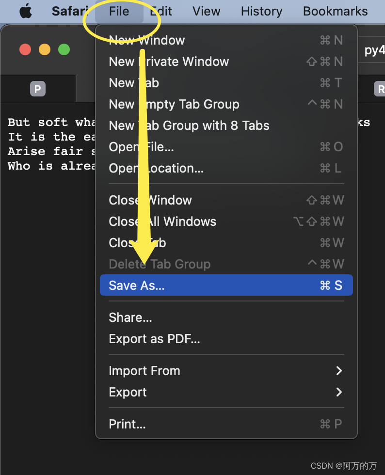 PY4E - 练习文件下载路径｜持续更新-CSDN博客