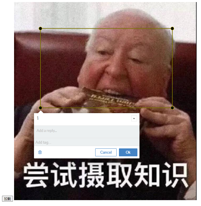 Annotorious入门教程：图片注释工具-CSDN博客